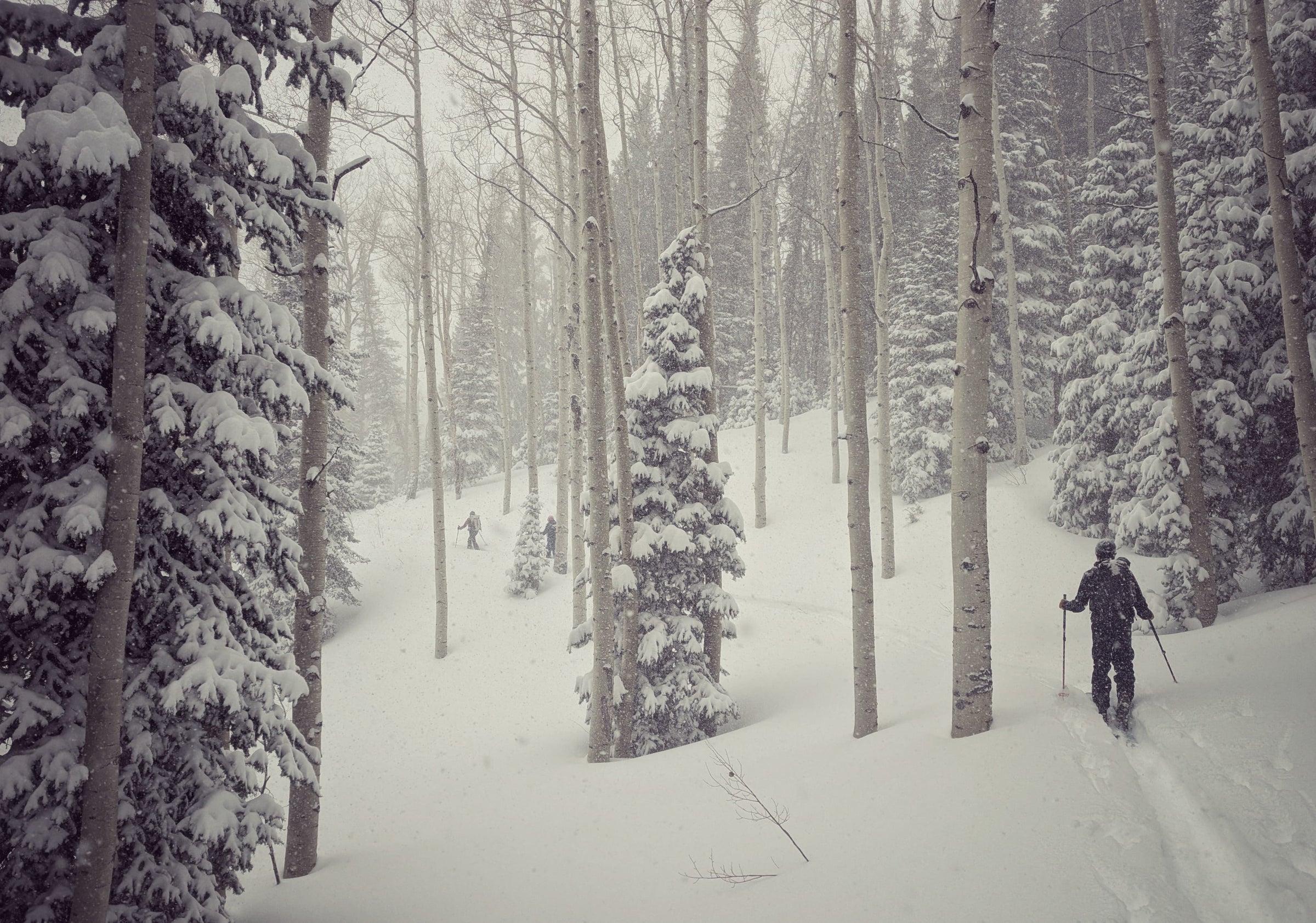 Backcountry Essentials | Outdoor Gear for Ski, Camp, Hike, Climb